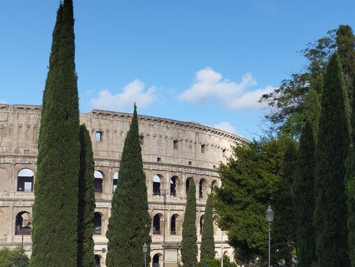 Cité scolaire de Tarare